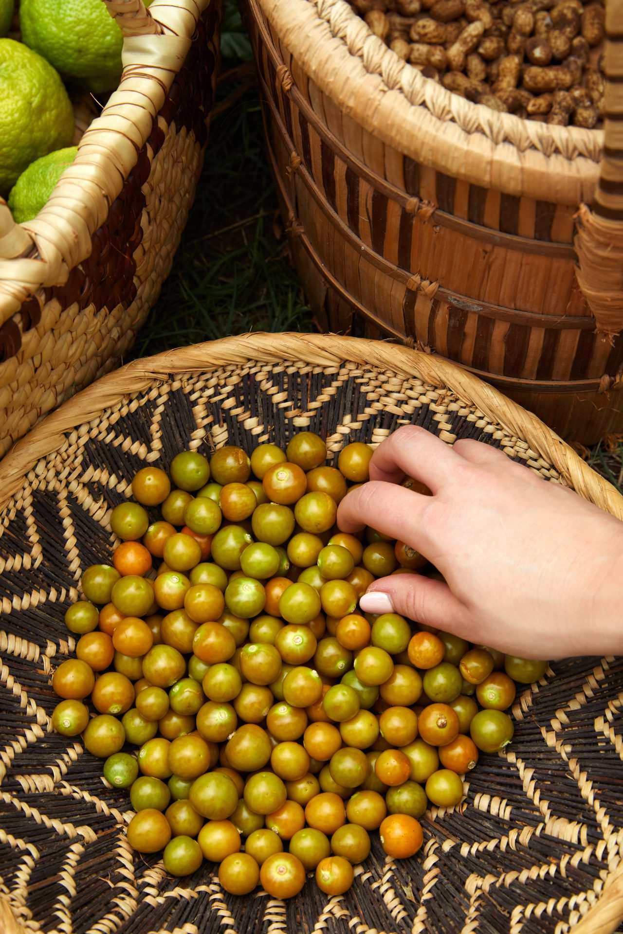 Ciela Resort and Spa – Ciela Resort & Spa – A Tribute Portfolio Hotel